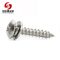 Combo Screw, Stainless Steel Pan Head Phillips Self Tapping Screw