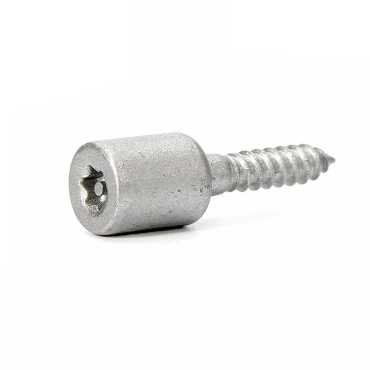 Self-Tapping Security Screws,Self Tapping Torx Security Screws