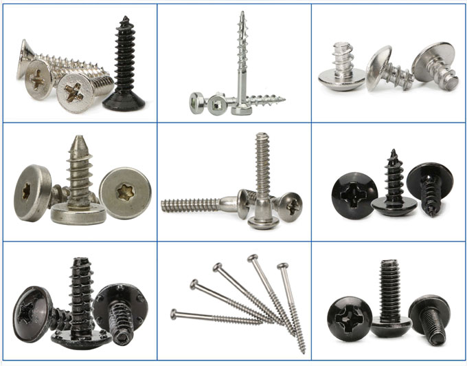 Self Tapping Screw Head Types - Shi Shi Tong