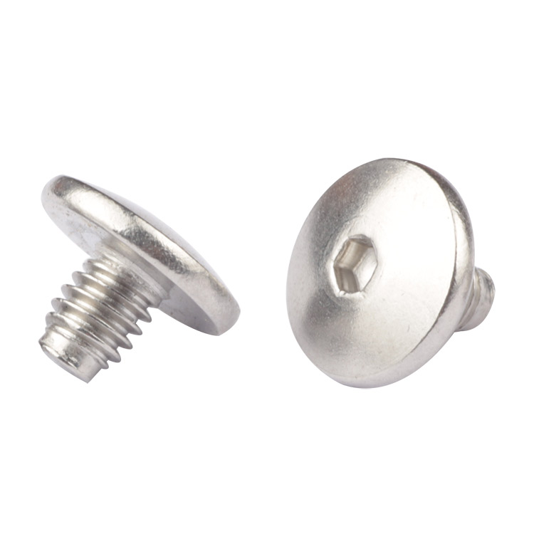 Torx Cap Head Screws | Shi Shi Tong
