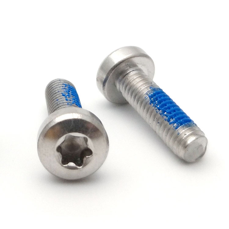 Stainless steel torx screws, custom screw factory