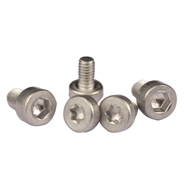 Torx Cap Head Screws | Shi Shi Tong