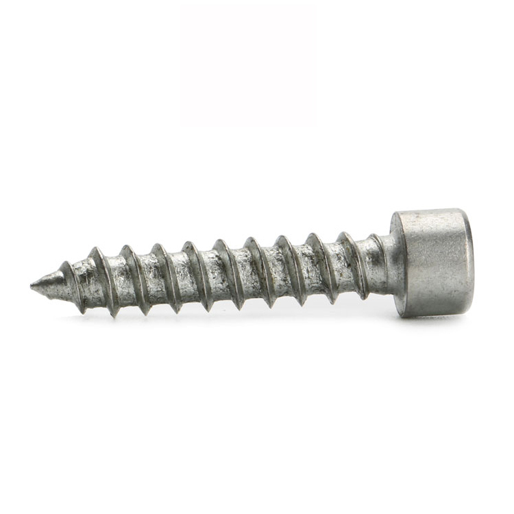 Self Tapping Allen Screws Supplier | Shi Shi Tong