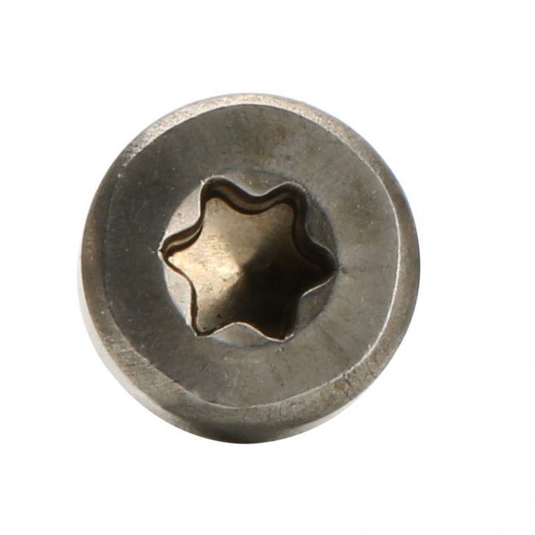 Torx Socket Head Cap Screw Supplier | Shi Shi Tong