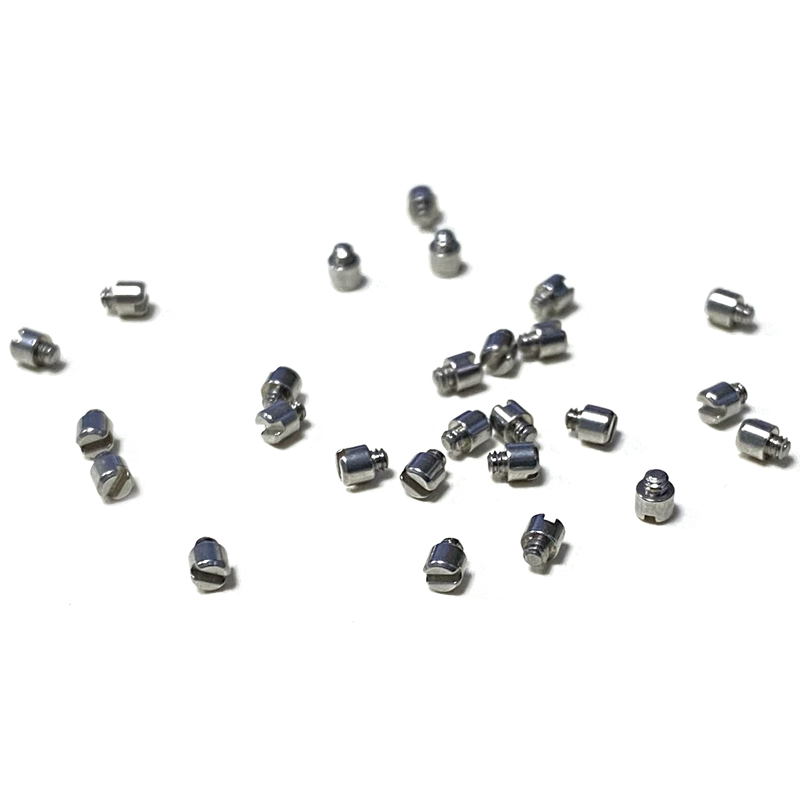 Tiny slotted stainless cap head screws