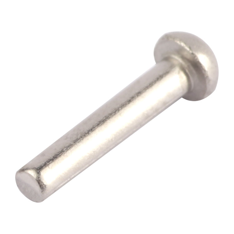 What Is a Rivet Screw and How to Use or Remove It?